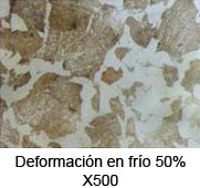 Recocido | Termia S.R.L